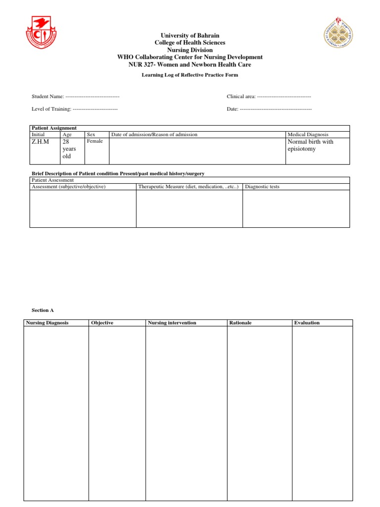 Learning Log of Reflective Practice Form | PDF | Reflective Practice ...