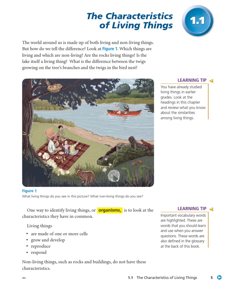 Characteristic of Living Things | Reproduction | Life