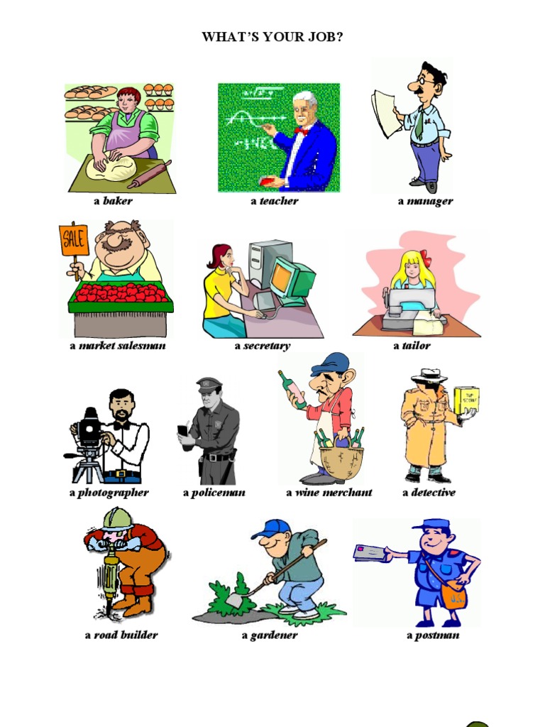 Job Roles and Occupations Overview | PDF
