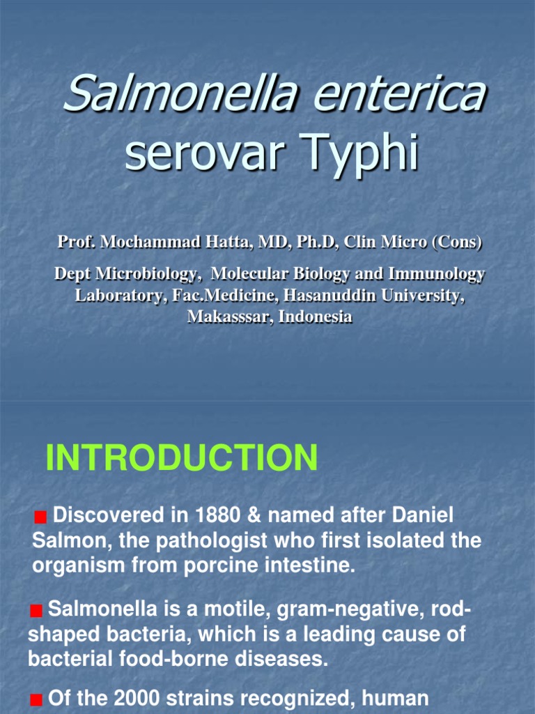 Salmonella Typhi 2012 | PDF | Salmonella | Infection