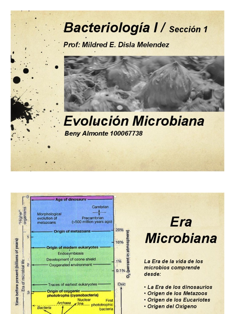 Evolucion Microbiana | PDF | Evolución | Microorganismo