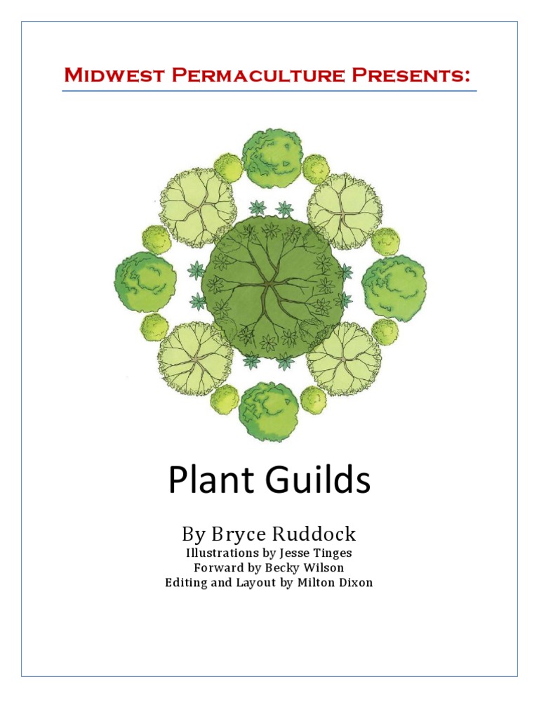 Plant Guilds eBooklet - Midwest Permaculture | Trees | Peach