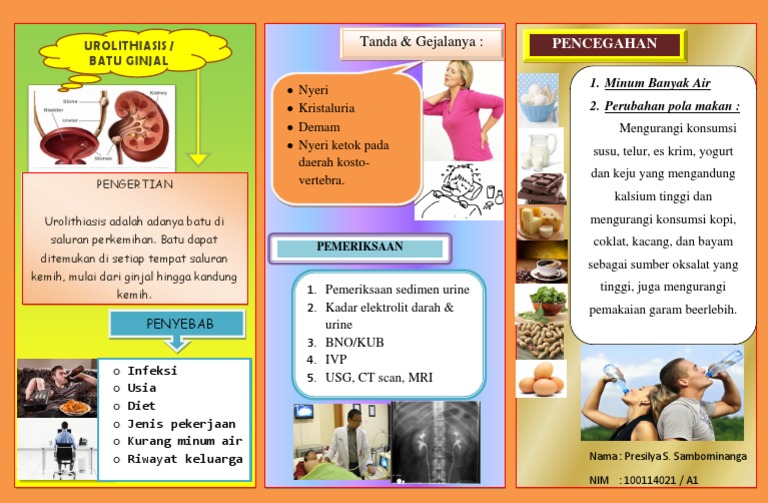 Leaflet Urolithiasis | PDF