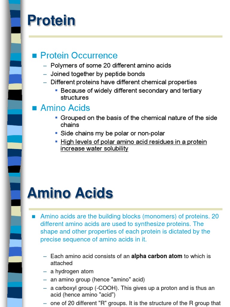 Protein Material | PDF | Denaturation (Biochemistry) | Amino Acid