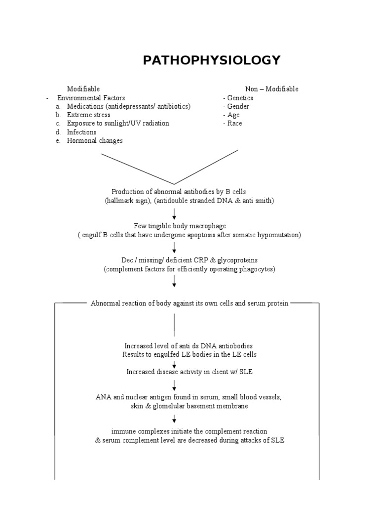 SLE Pathophysiology