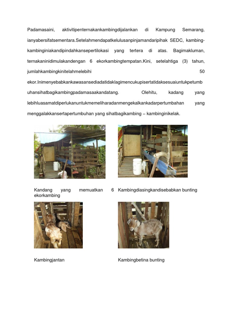 Pelan Perniagaan Untuk Penternakan Kambing - Part 2 | PDF