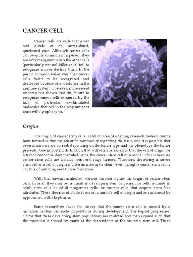 Cancer Cells | PDF | Neoplasms | Cancer
