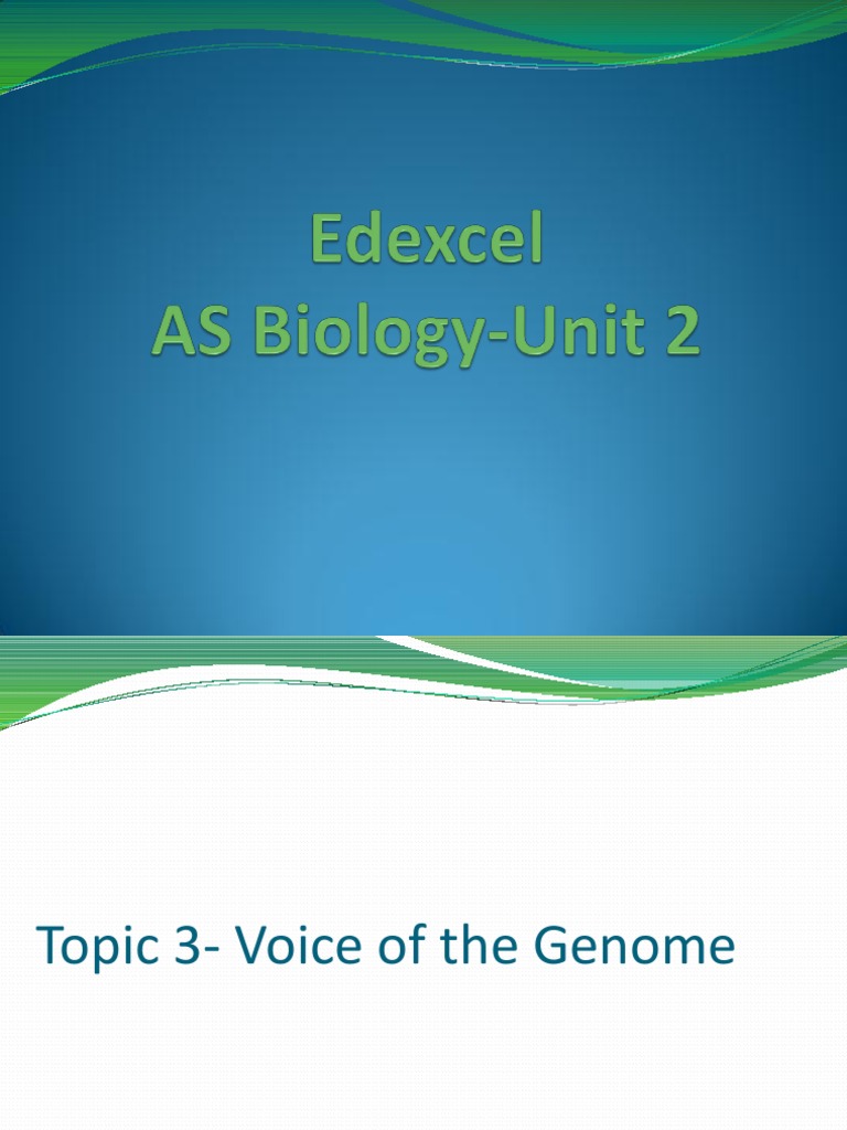 Biology-Unit 2 Revision Powerpoint (Autosaved) | PDF | Meiosis ...