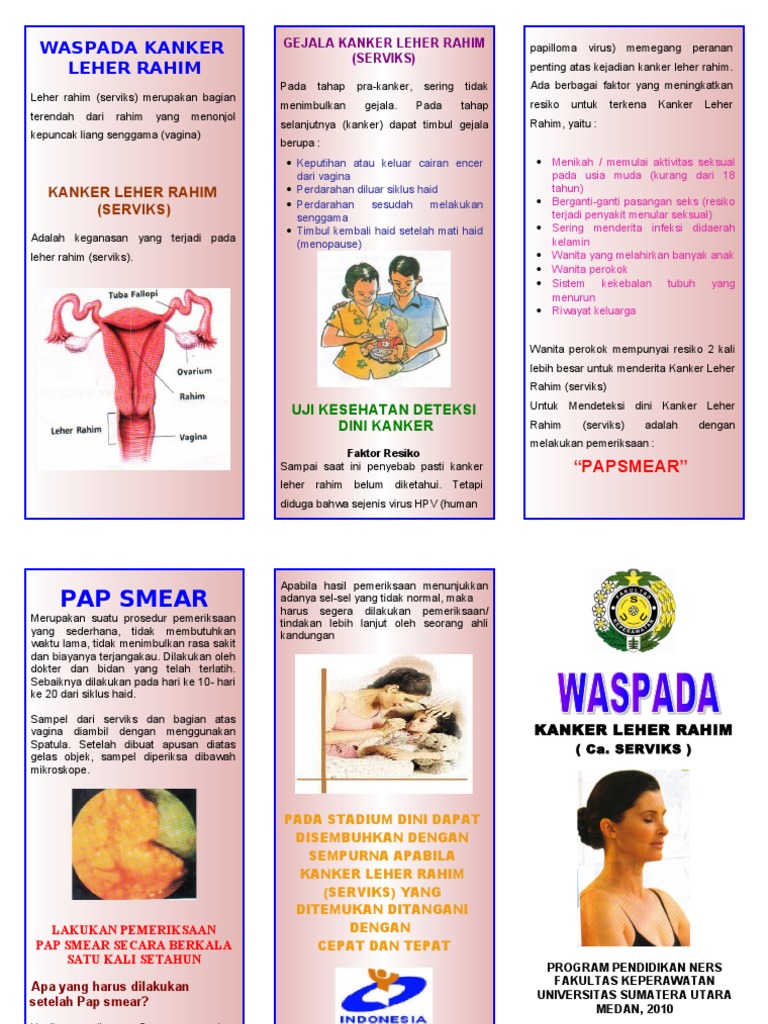 Leaflet CA. Serviks Ok | PDF | Sains & Matematika
