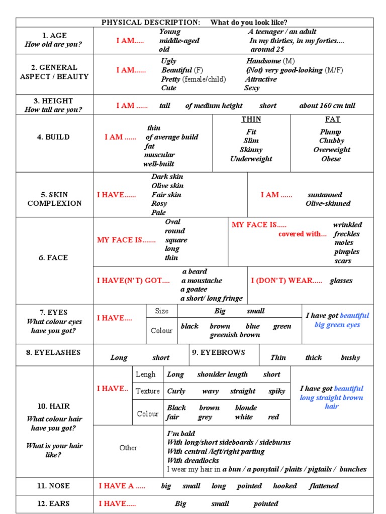 Physical Description and Personality | PDF | Hair | Human Appearance