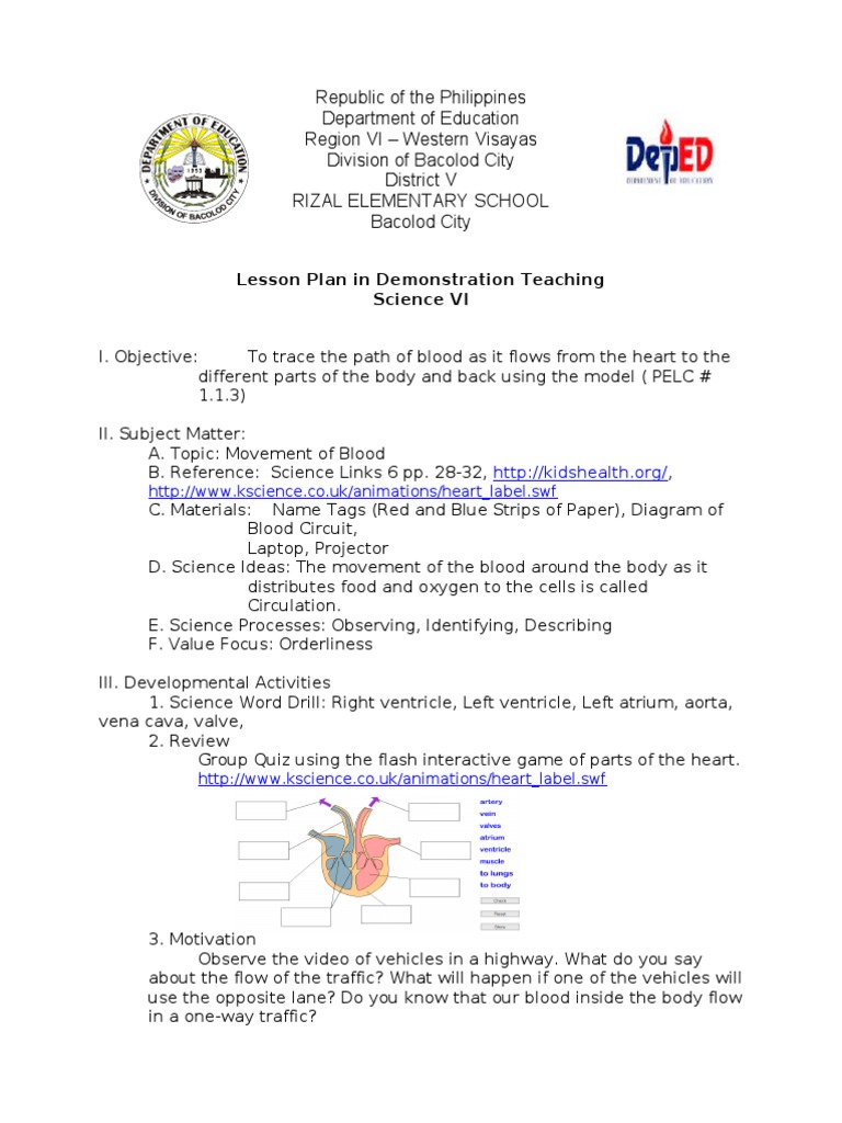 .Lesson Plan Demo | PDF | Heart | Circulatory System