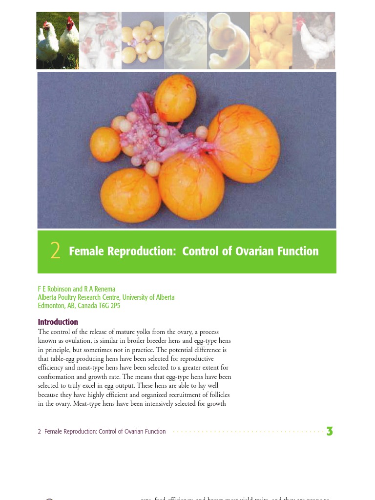 Female Reproduction: Control of Ovarian Function | Download Free PDF ...