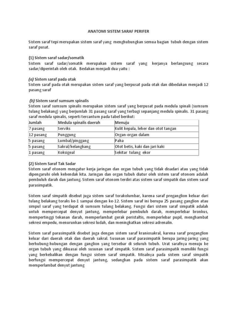 Sistem Saraf Perifer: Anatomi dan Fungsi | PDF | Kesehatan Holistik