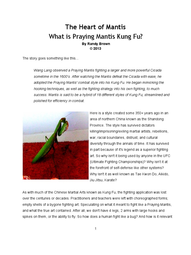 What Is Mantis Boxing? | PDF | Chinese Martial Arts | Individual Sports