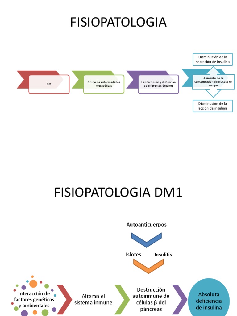 Fisiopatologia DM 1 y 2 | PDF | Citocina | Sistema inmune