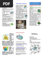 Triptico Basura | PDF | Residuos | Vertedero