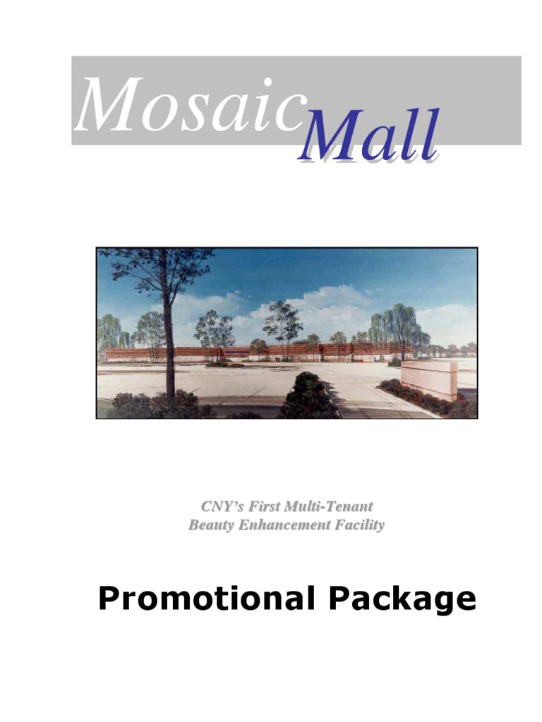 Promotional Package | PDF | Business