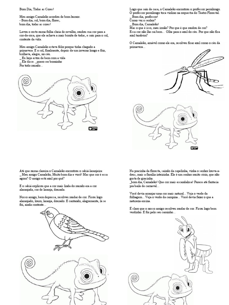 Bom Dia, Todas as Cores