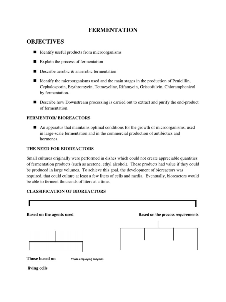 Fermentation | PDF | Fermentation | Metabolism