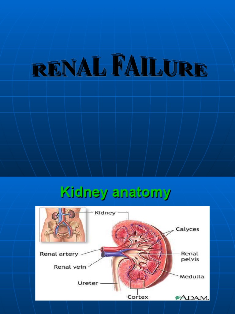 Renal Failure | PDF | Kidney | Renal Function