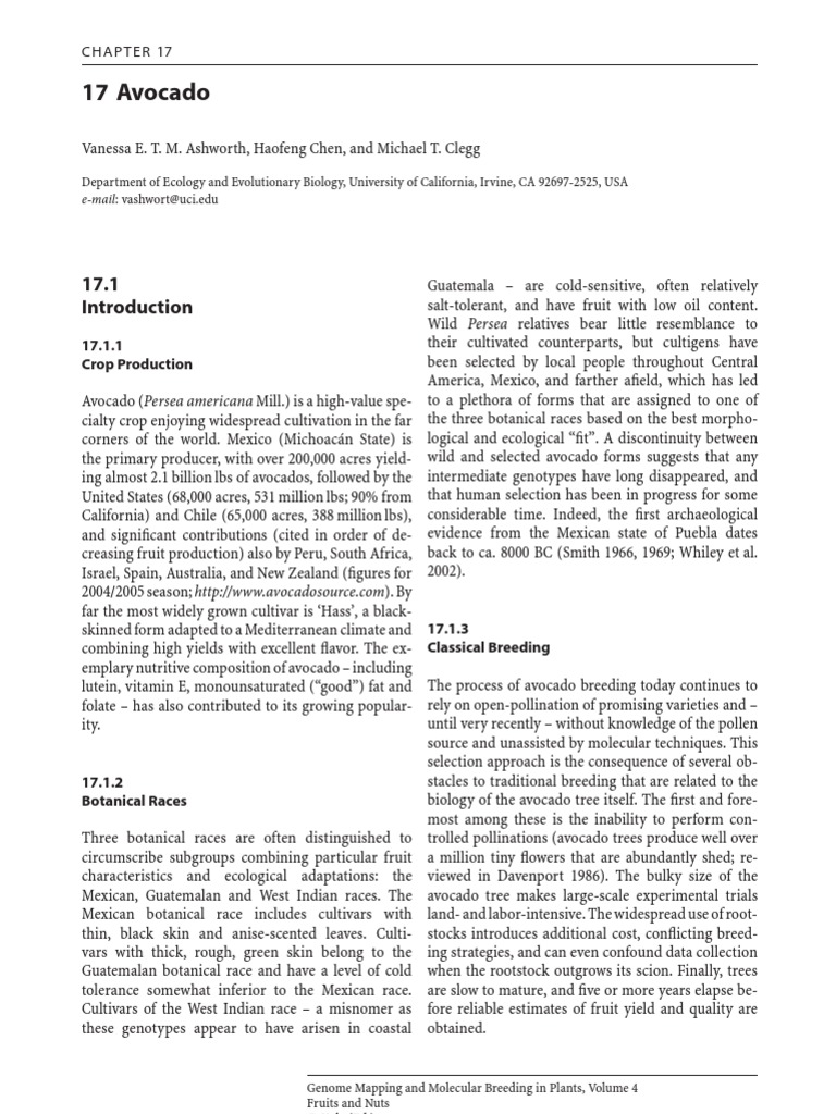 Avocado 2 | PDF | Plant Breeding | Avocado