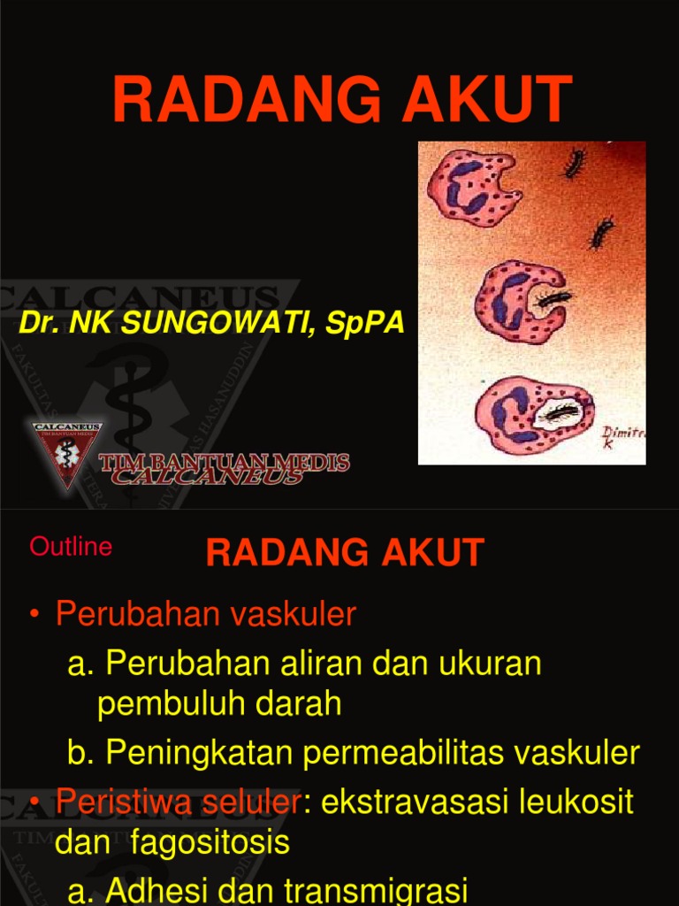 Radang Akut | PDF
