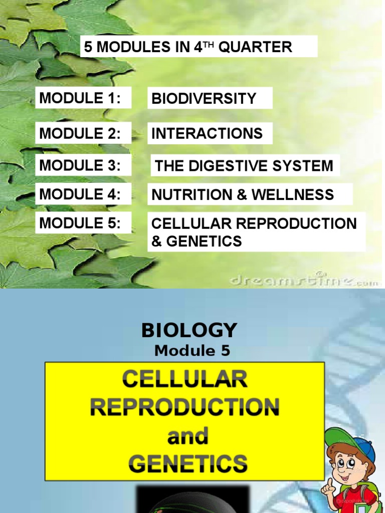 Grade 8 Module 5 | PDF | Mitosis | Meiosis