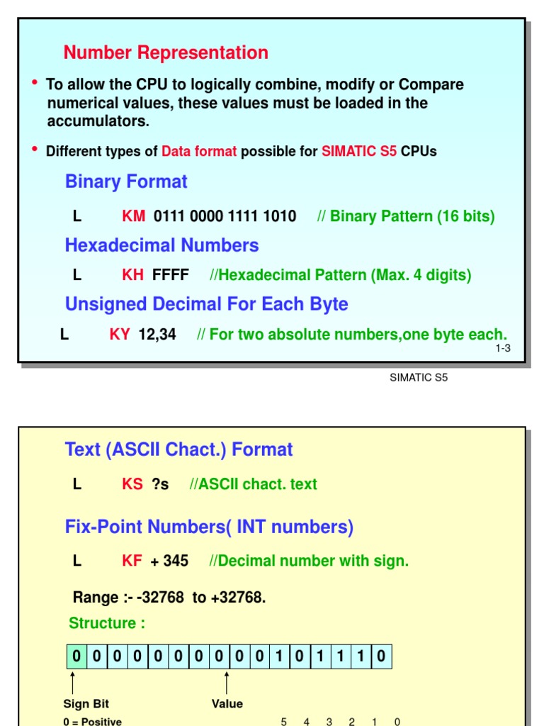 Number Representation: Binary Format | PDF