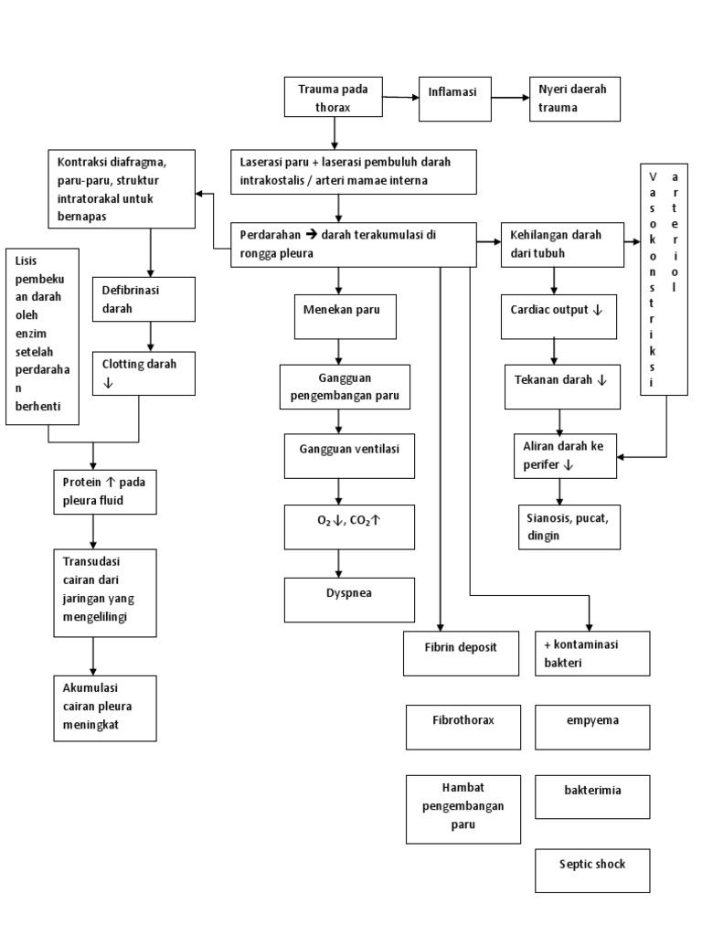 Patofisiologi Hematotoraks | PDF