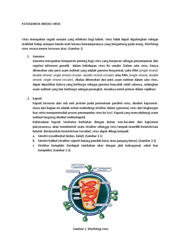 Patogenesis Infeksi Virus | PDF