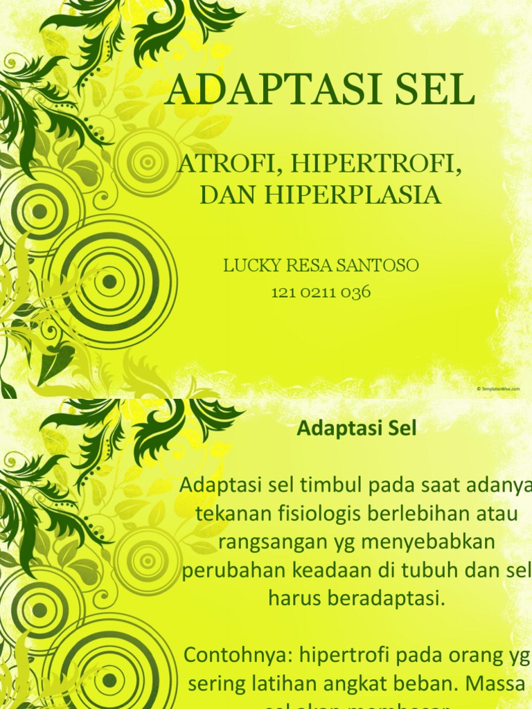 Perbedaan Atrofi, Hipertrofi, dan Hiperplasia | PDF | Sains & Matematika