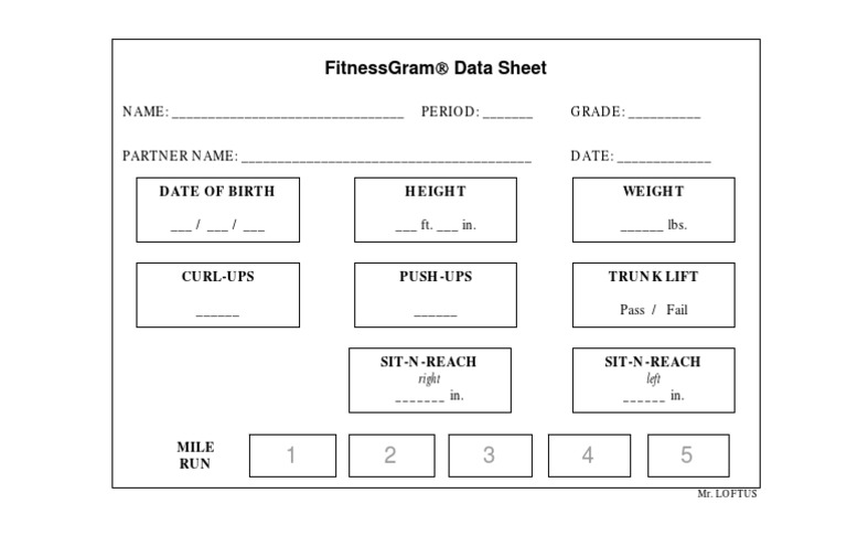 Fitness Gram Data Sheet | PDF