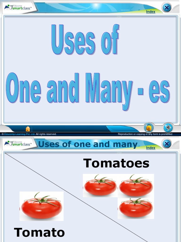 Uses of One and Many-2 | PDF