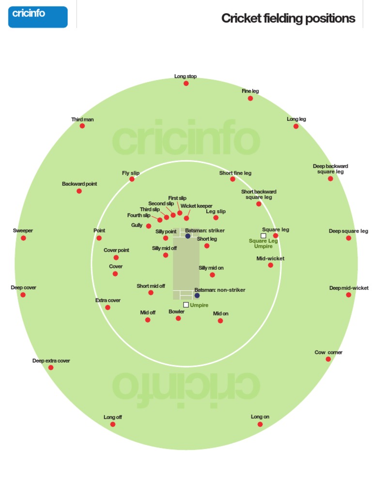 Fielding Positions | PDF | Team Sports | Rules