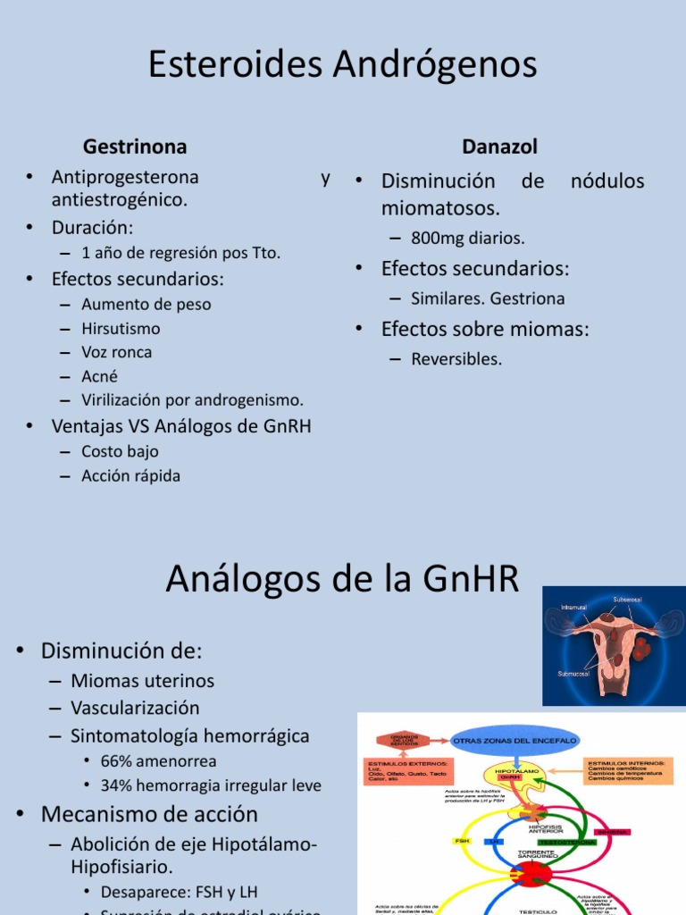 Esteroides Andrógenos | PDF | Útero | El embarazo
