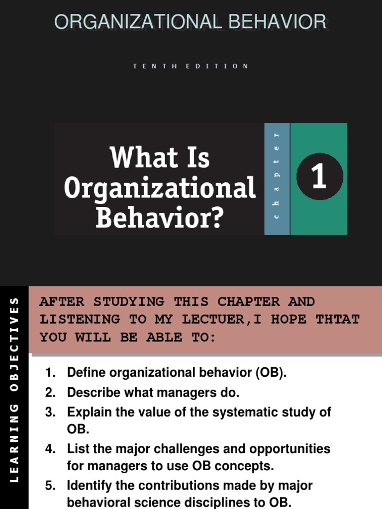 Understanding Organizational Behavior | PDF
