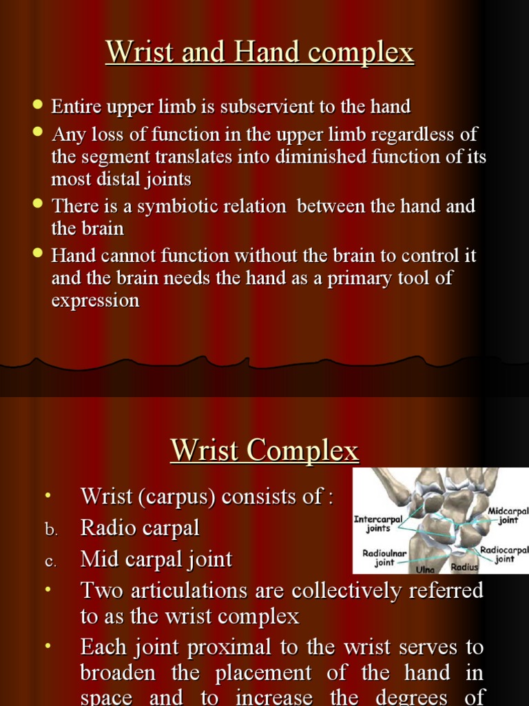 Wrist Complex1 | PDF | Hand | Anatomical Terms Of Motion