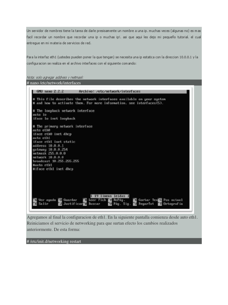 Instalacion de DNS Ubuntu | PDF | sistema de nombres de dominio | Internet