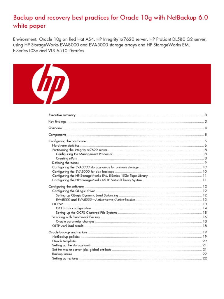 Backup and Recovery Best Practices For Oracle 10g With NetBackup 6.0 White Paper | PDF