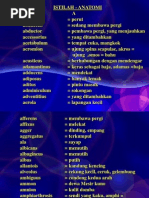 Pembagian Regio Tubuh Manusia | PDF | Kesehatan Holistik | Sains ...