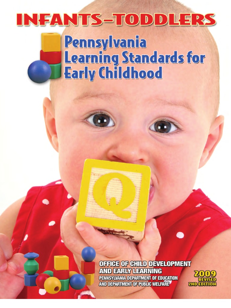 Infant Toddler Standards 2010 | PDF
