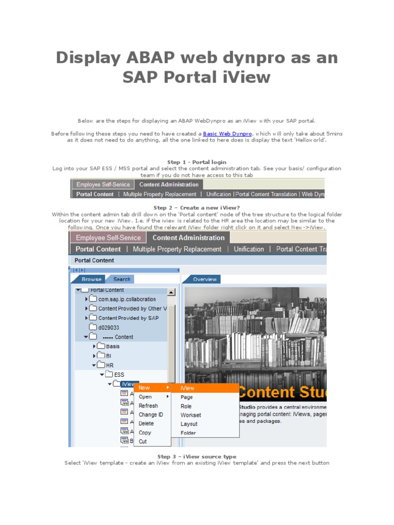 Display ABAP Web Dynpro As An SAP Portal Iview | PDF | Computer Engineering | Cyberspace