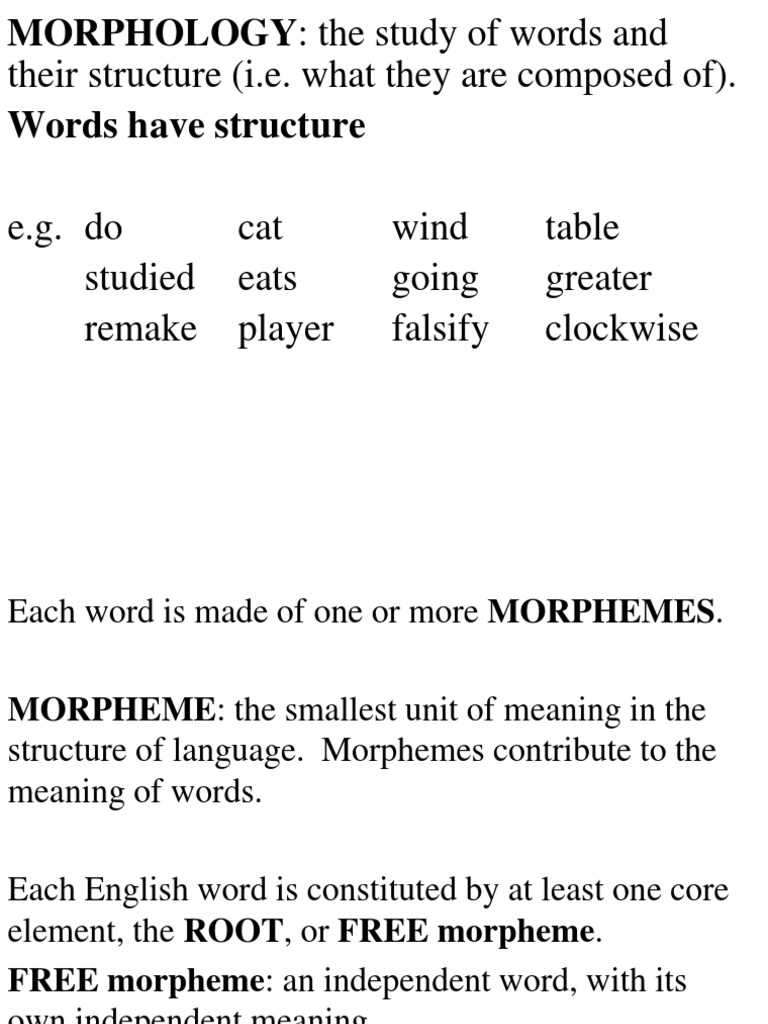 3 Morphology | Word | Morphology (Linguistics)