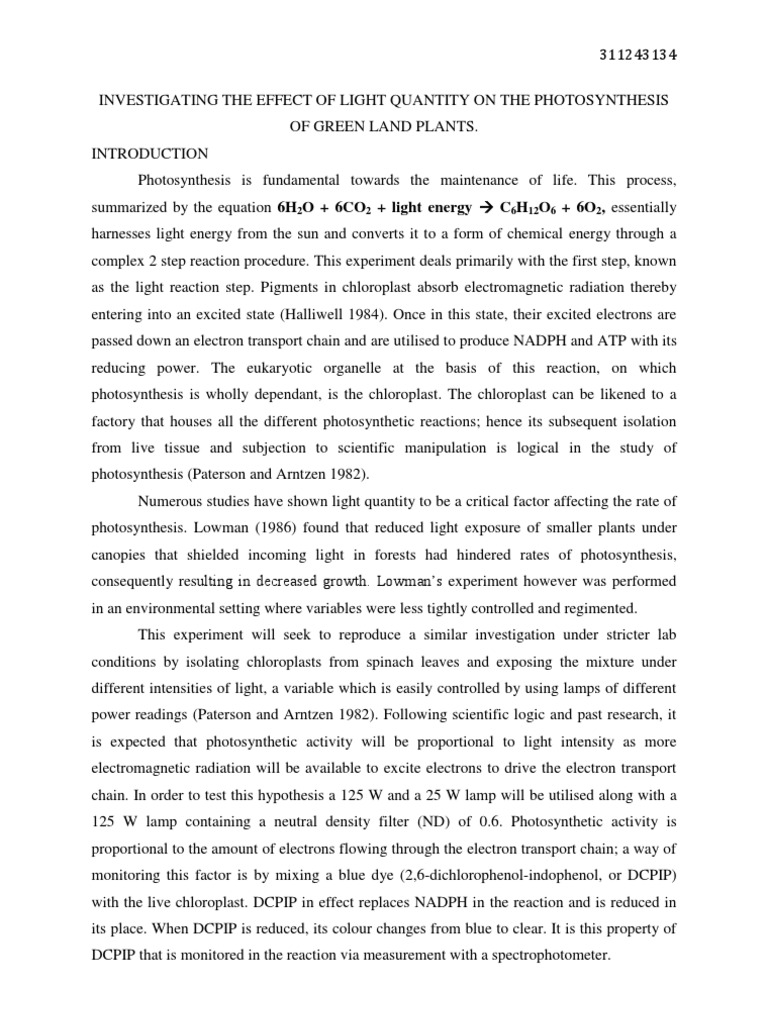 Investigating The Effect of Light Quantity On The Photosynthesis of ...