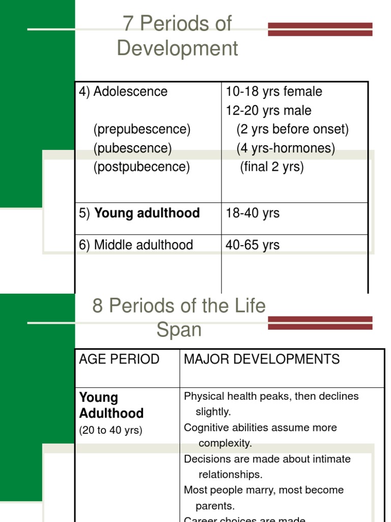 10 Early Adulthood Young Adulthood | PDF | Parenting | Relationships