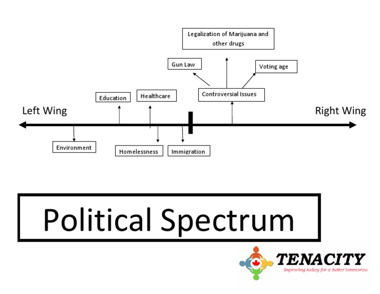 Political Spectrum and Key Issues | PDF