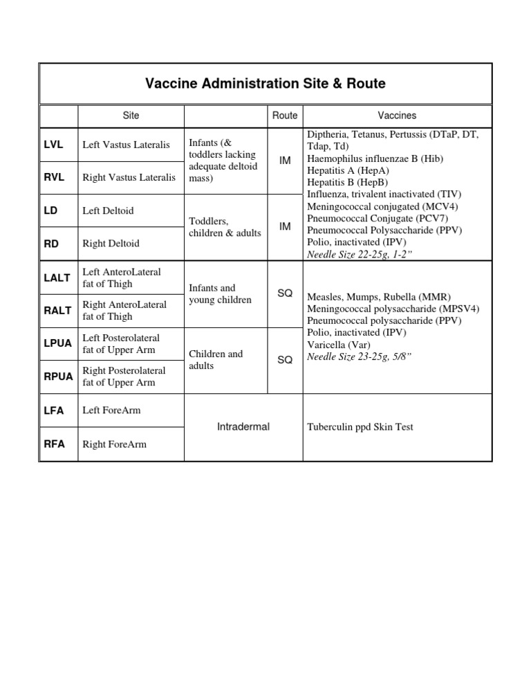 Vaccine Administration Site Route Chart | PDF