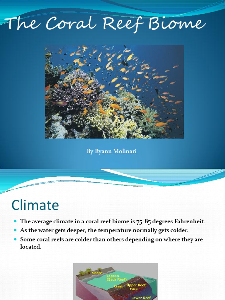 The Coral Reef Biome Powerpoint | PDF | Coral Reef | Coral