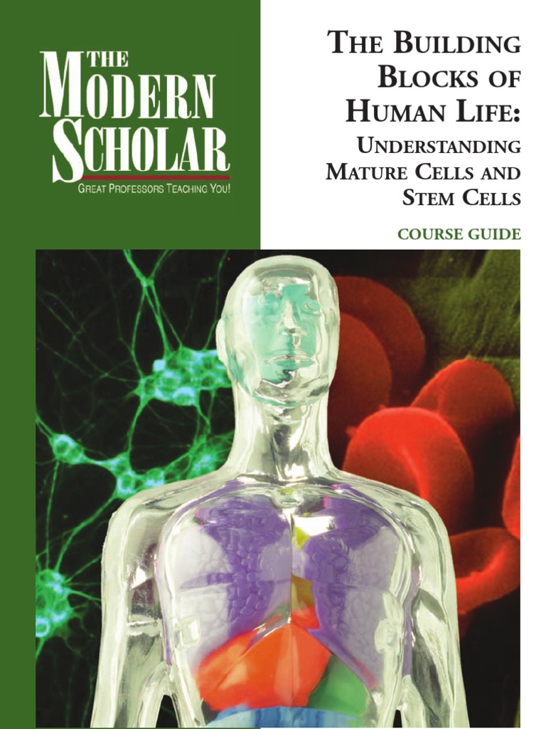 Building Blocks of Human Life - Understanding Mature Cells and Stem ...