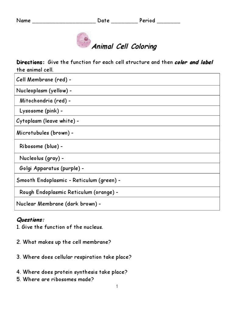 Animal Cell Coloring and Labeling Guide | PDF | Endoplasmic Reticulum ...